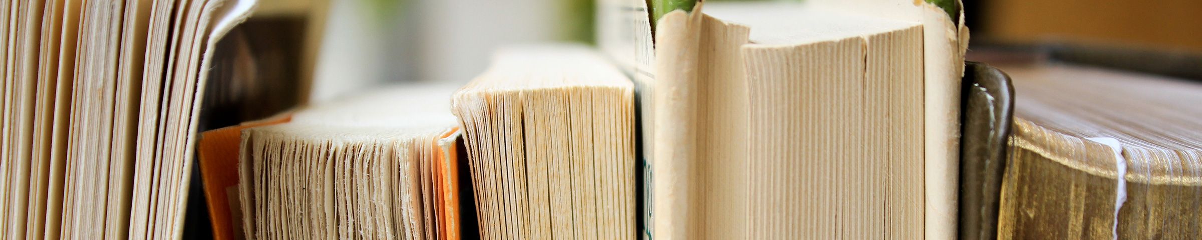 21 Best Realistic Fiction Books 21 Best Realistic Fiction Books